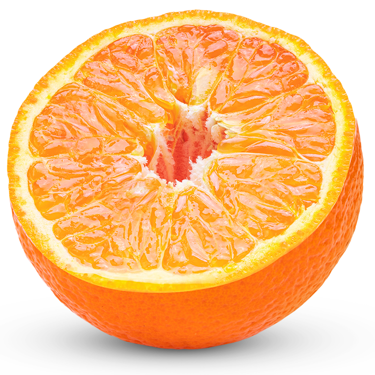 Saborama | Esencias con Sabor y Color | Kelsis S.A.